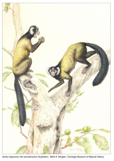 Escenarios prehistóricos: Ganlea