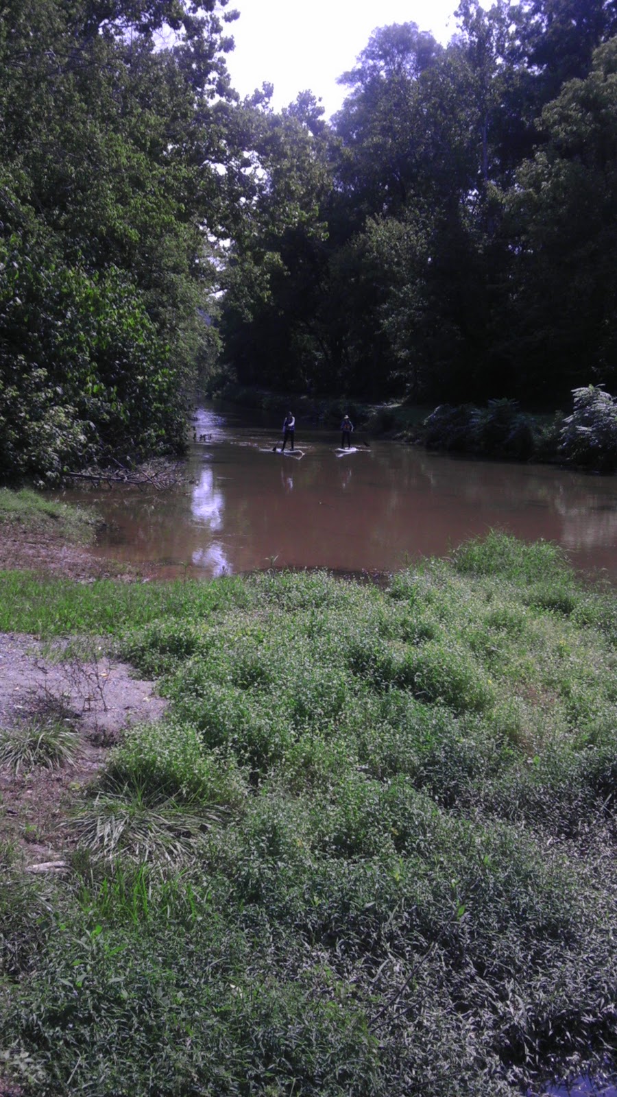 Hiking with Megan in Maryland and Beyond: C&O Canal: Riley's Lock