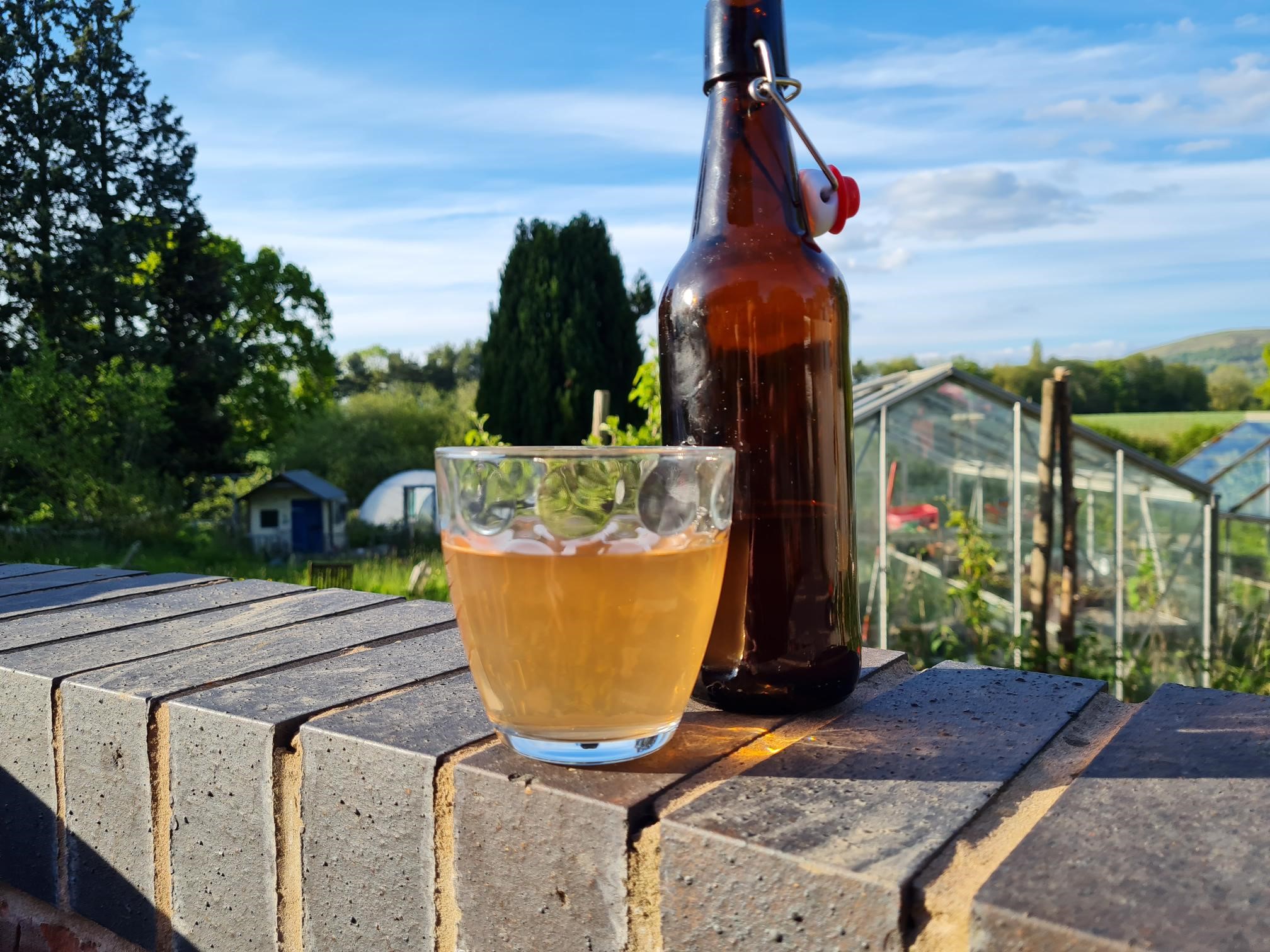 An English Homestead: Amazing Nettle Beer!