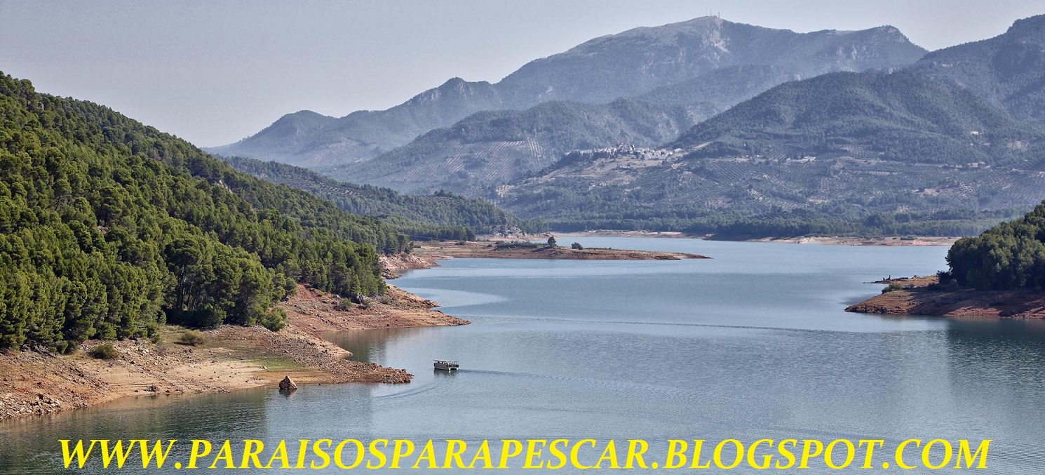 PARAÍSOS PARA PESCAR: EMBALSE DEL TRANCO