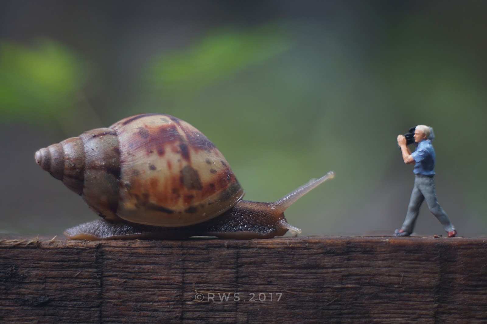 Fotografi Makro Dengan Menggunakan Miniatur - Miniatur Fotografi