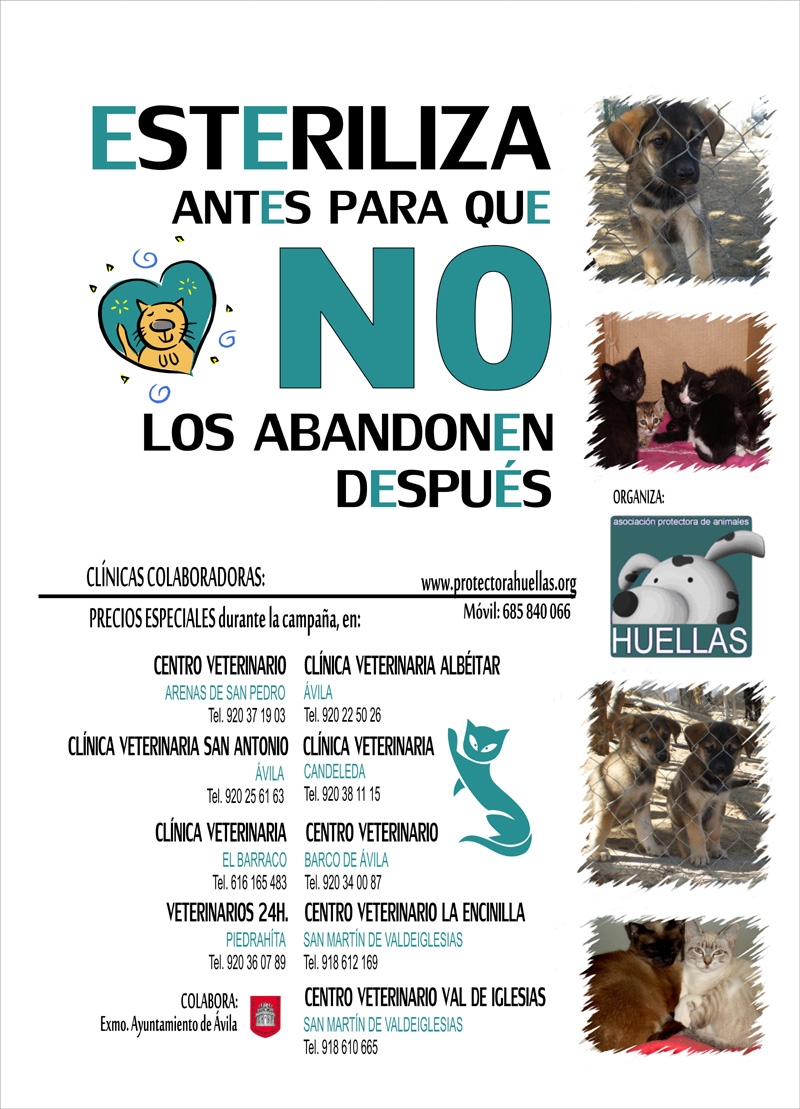 Gatoasalvo CampaÑa EsterilizaciÓn En Ávila