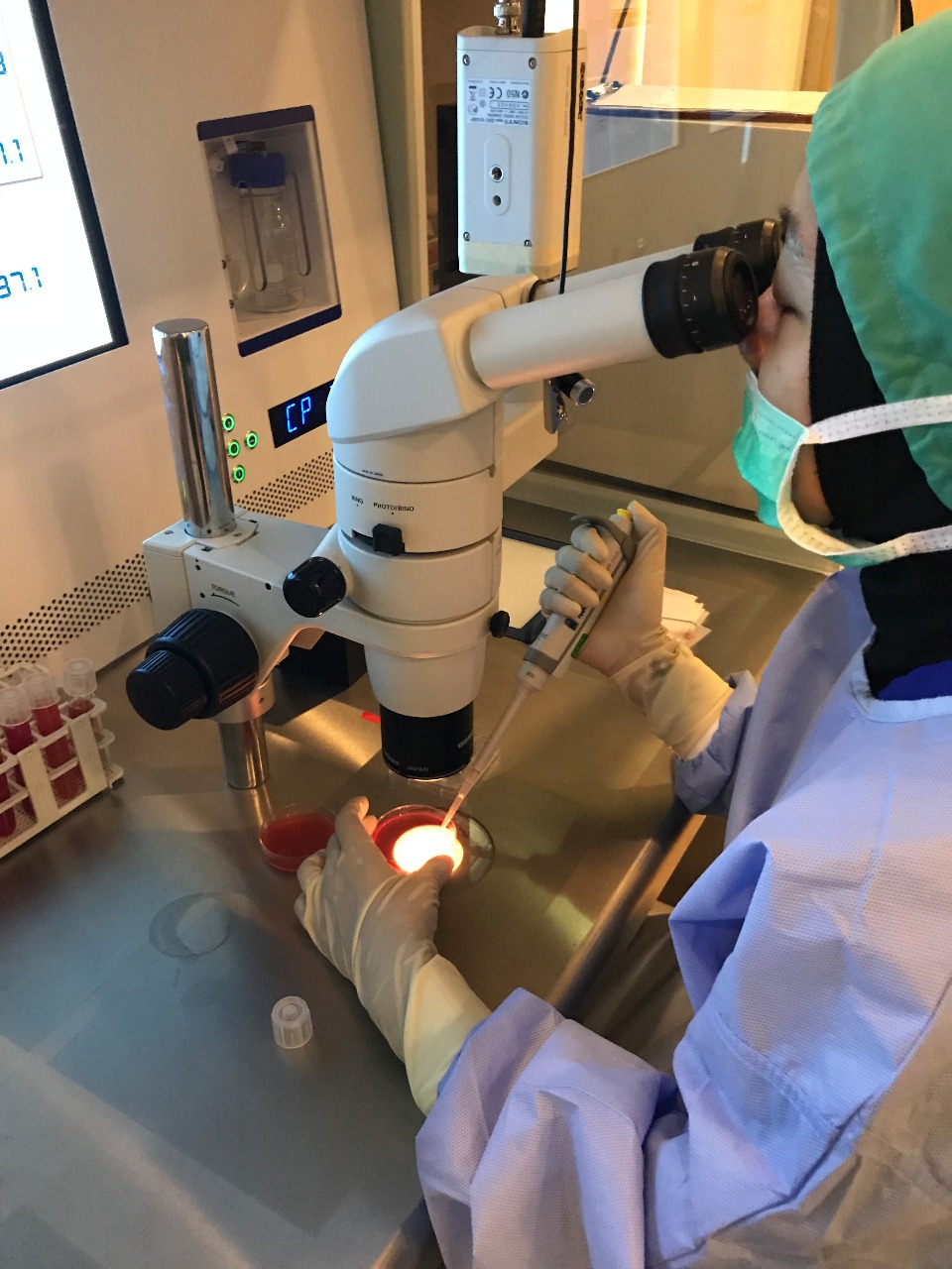 Teknologi Terbaru Program Bayi Tabung di Morula IVF Indonesia ~ Duta ...