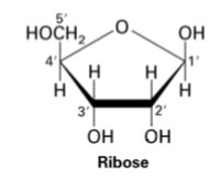 Karbohidrat Lazim dan Sifat Fisisnya - Inspirasi Indonesia