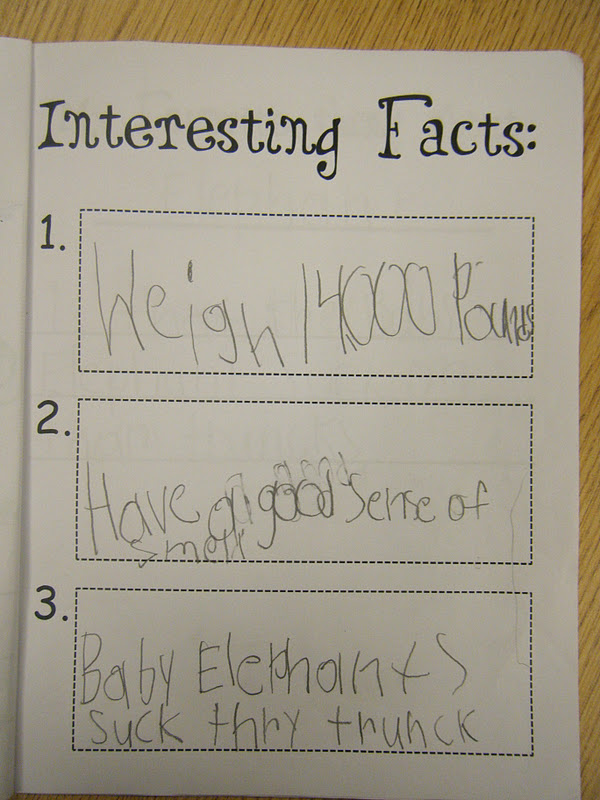 Ms. M.'s KG Class: Kindergarten Informational Non-Fiction Report Writing