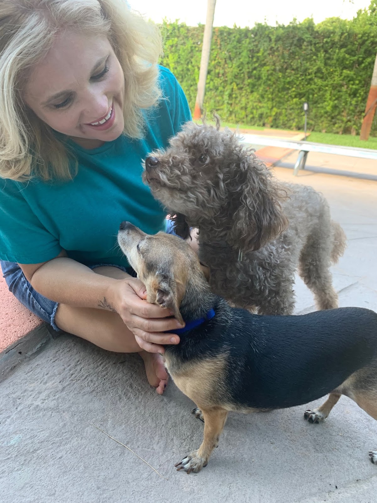 The Inside Look: Guest Blog from Marjetta Geerling/Mara Wells