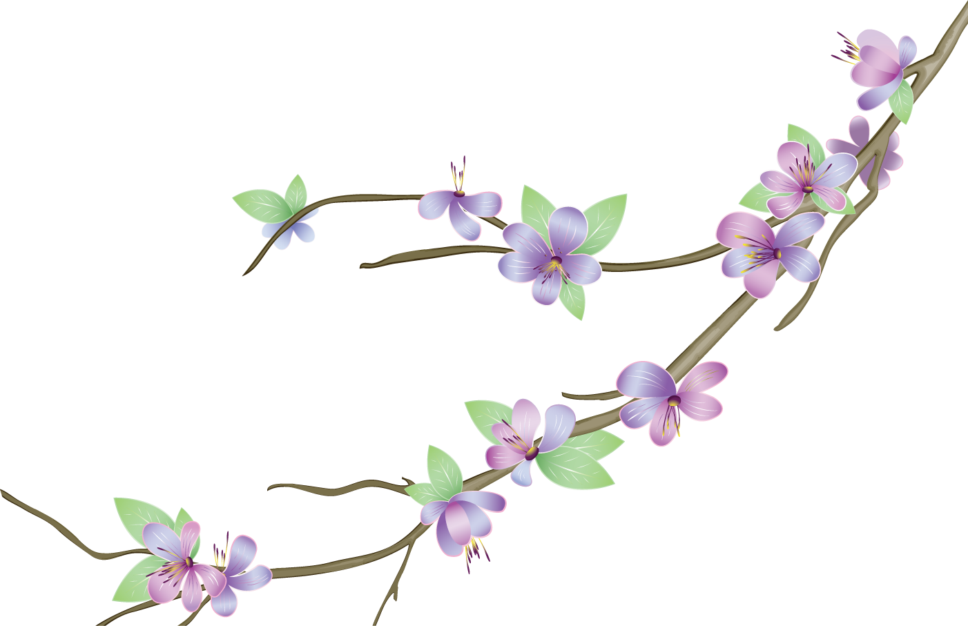 newpngs: flower vectors various (9)