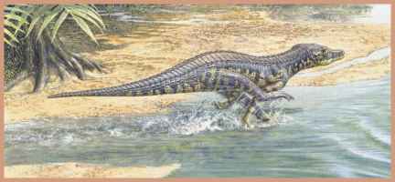a mesozoic field guide: The Late Triassic