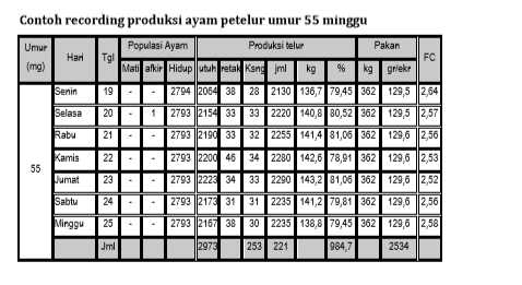 Menghitung Dan Menganalisis Data Recording Ternak Unggas - Our Akuntansi