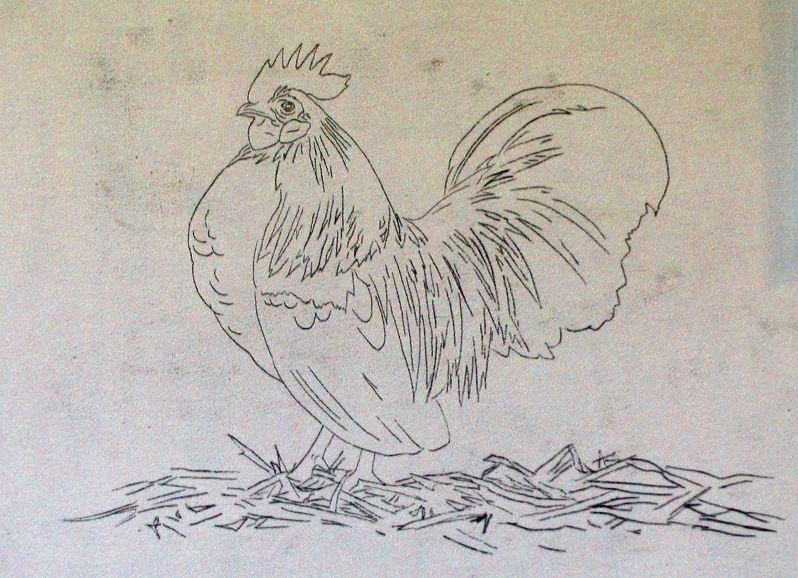 Ledbury Art Society: Chris Jones: Dutch Bantam in acrylic