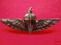 ACHTUNG!: SAYAP BERDARAH ( BLOOD WINGS )