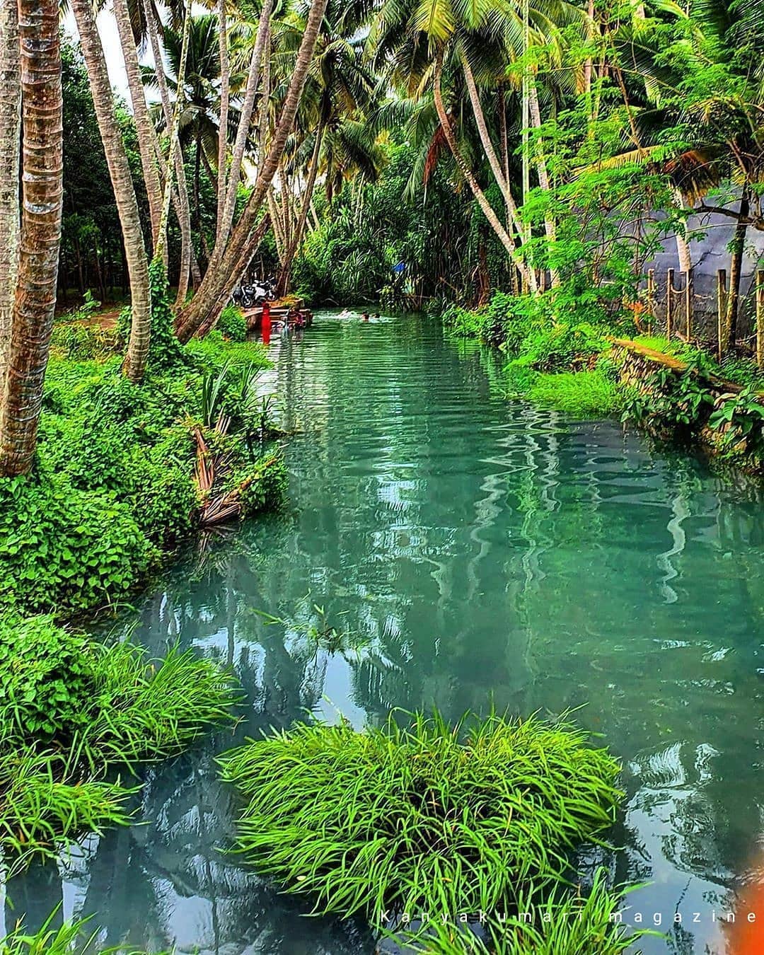 KANYAKUMARI TOURISM: Hidden waterfall in Perunchilanbu Near Kanyakumari