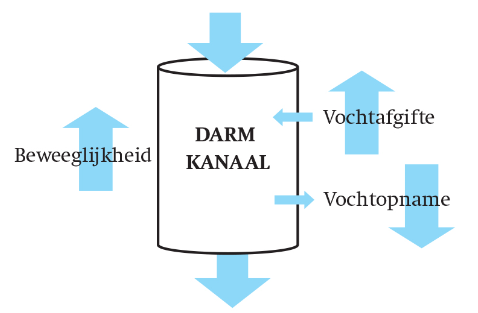 DE ANATOMIE EN PATHOLOGIE VAN DE DARM: DIARREE