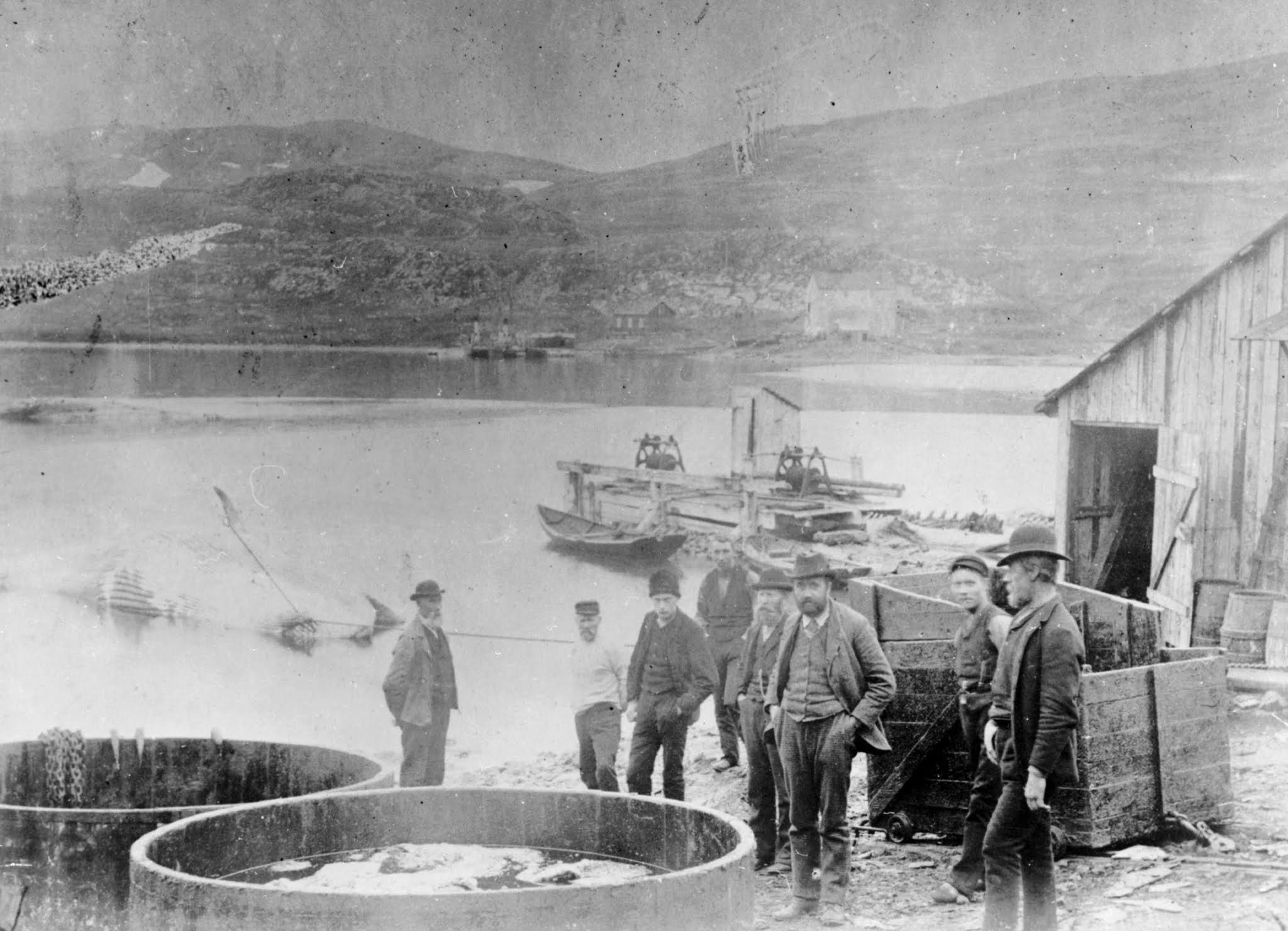 På leting etter: : Hvalfangst langs Finnmarkskysten