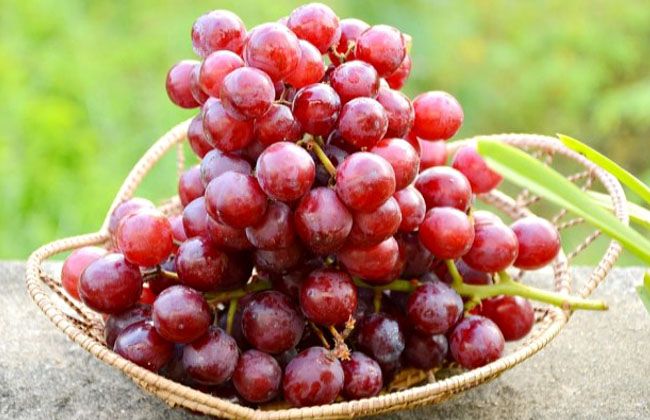 Sweet and healthy red grapes