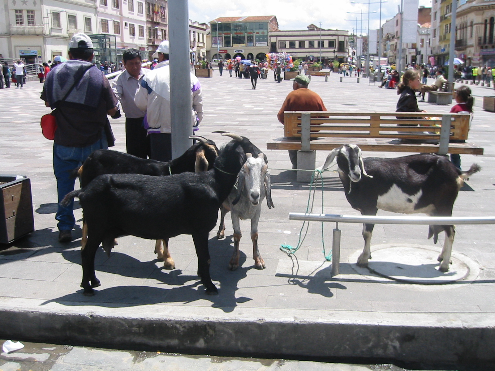 Castles in Cuenca: Always celebrating!
