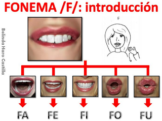 MIRÁNDONOS AL ESPEJO: Articulación