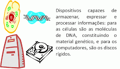 Resumos de Biologia: O código genético e a tradução