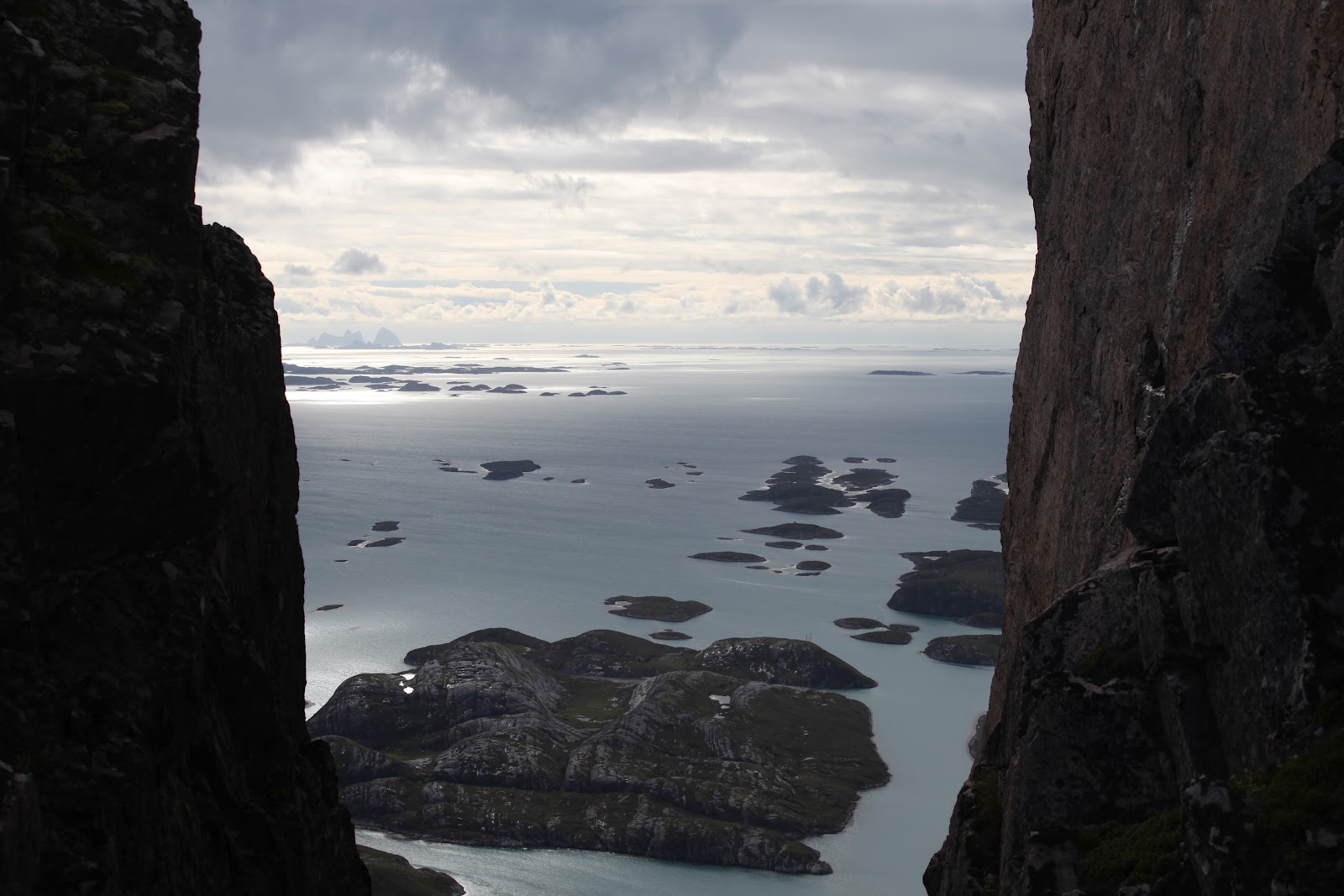 Svalbardliv: Rause Rødøy