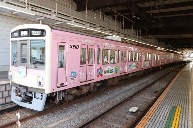 Tokyo Railway Labyrinth: Tama Zoo Train on the Keio Line
