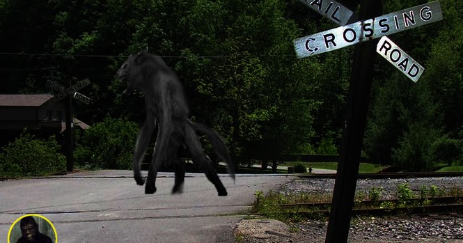 Kentucky Dogman Report! ~ The Crypto Crew