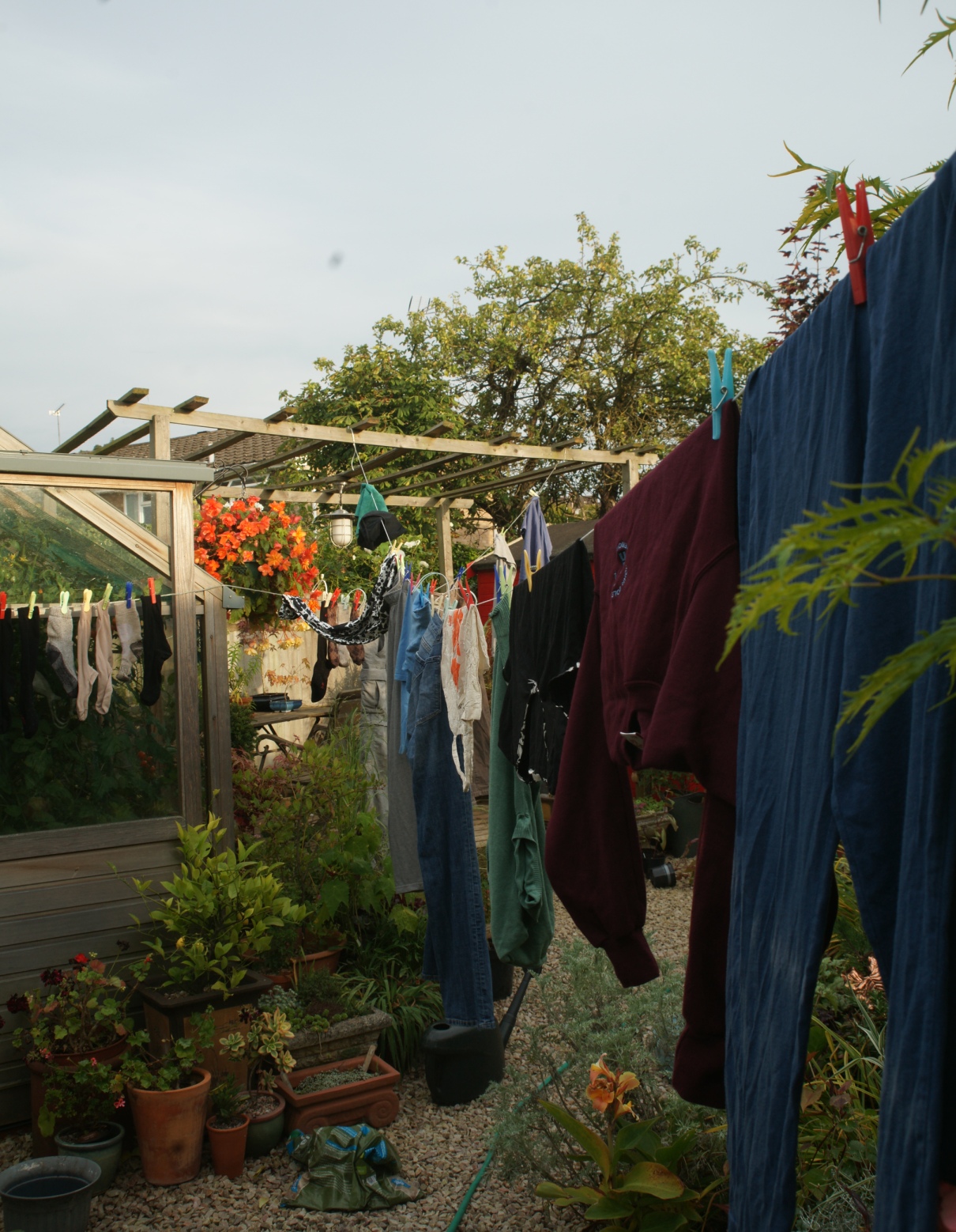 Acer Corner: The Rotary Washing Line - Thoughts on Garden Use