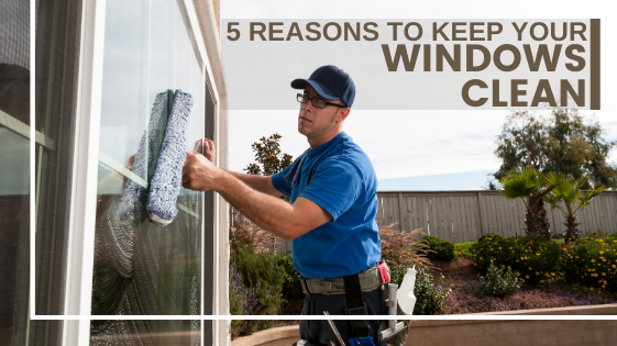 5 Reasons to keep your windows clean