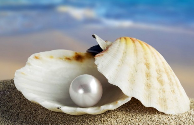 El Recolector de Historias: "La Señorita Perla"