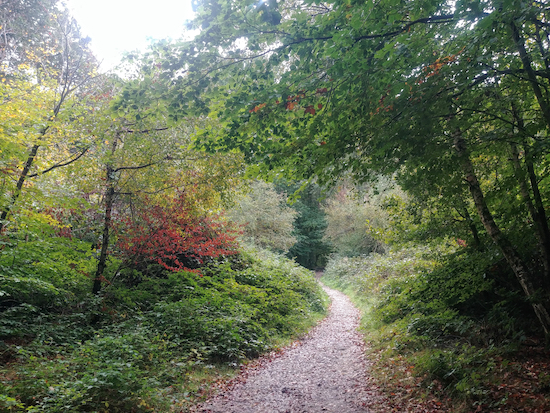 Hertfordshire Walker: Walk 116: Frithsden North-West Loop