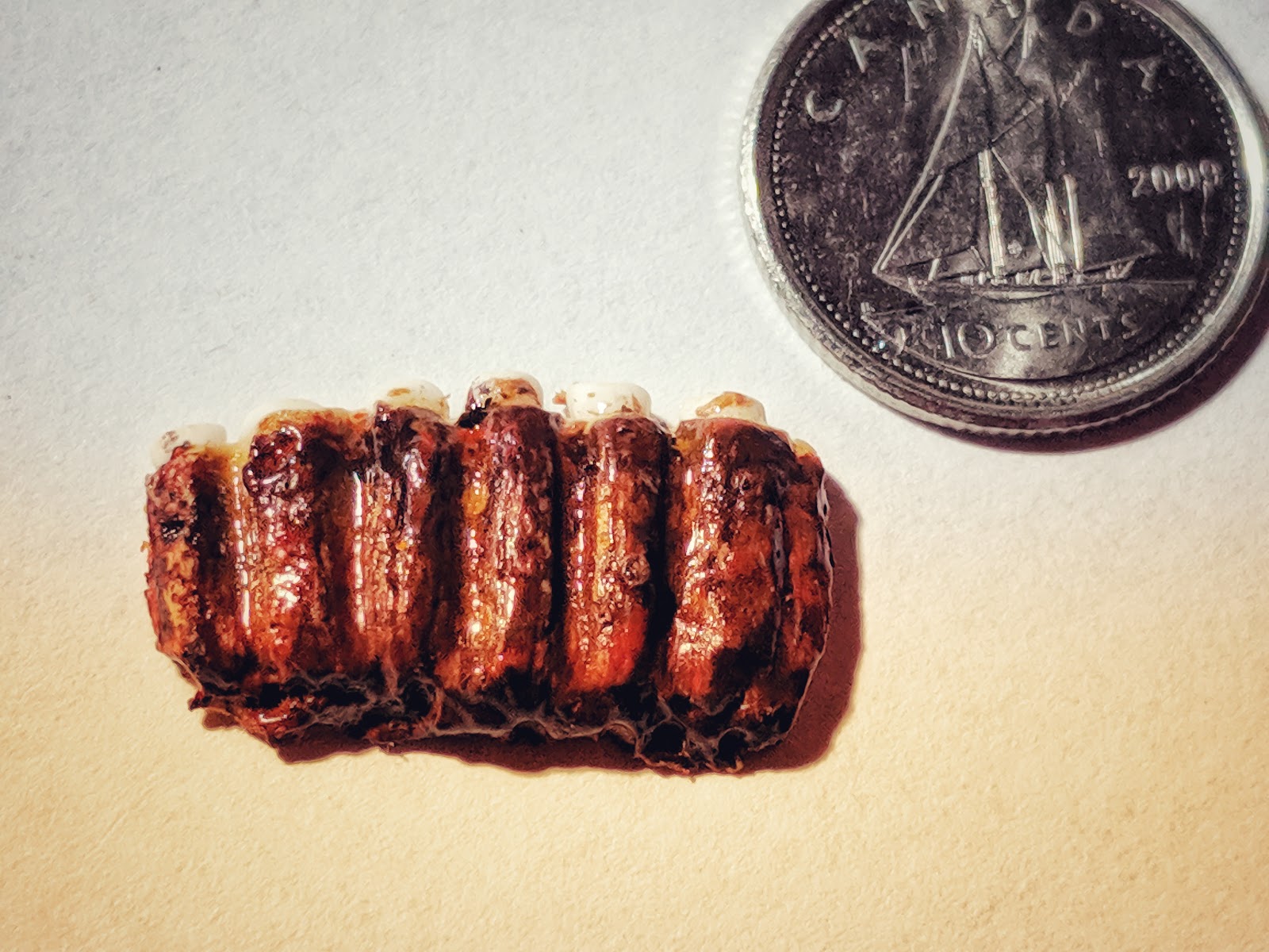 Redwood Retro Miniature Gallery - Meats