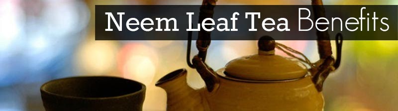 Neem Tea Benefits ~ Healthy Tea 101