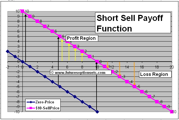 Payoff Functions for Options & Futures: Explained with Example: Options ...