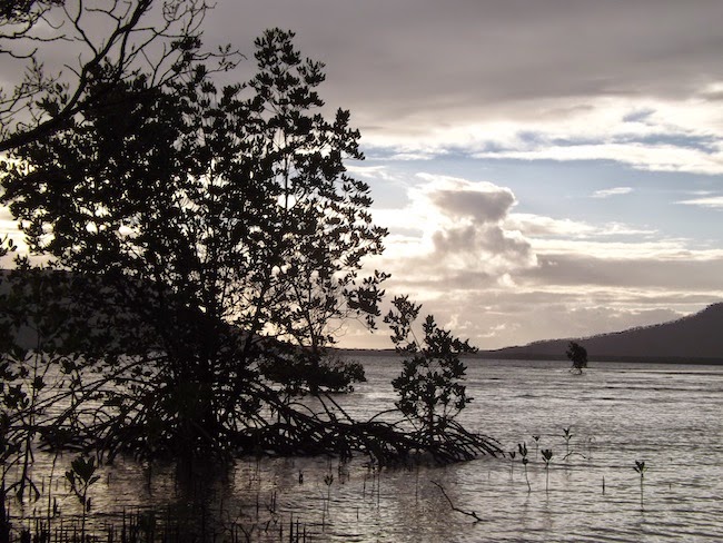 the wholefood mama: hope vale: hot chips, fresh fish and healing