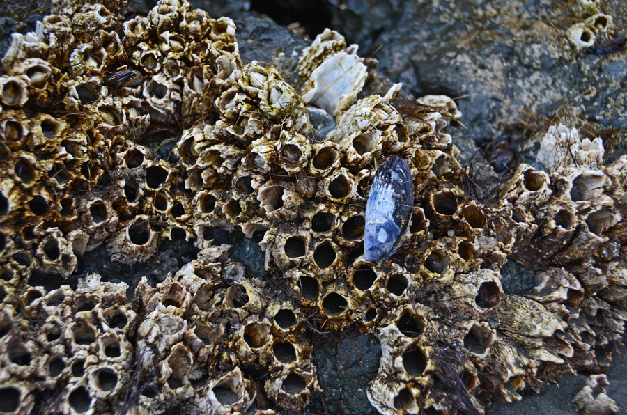 Today's WORD on Journalism: Still Stupid