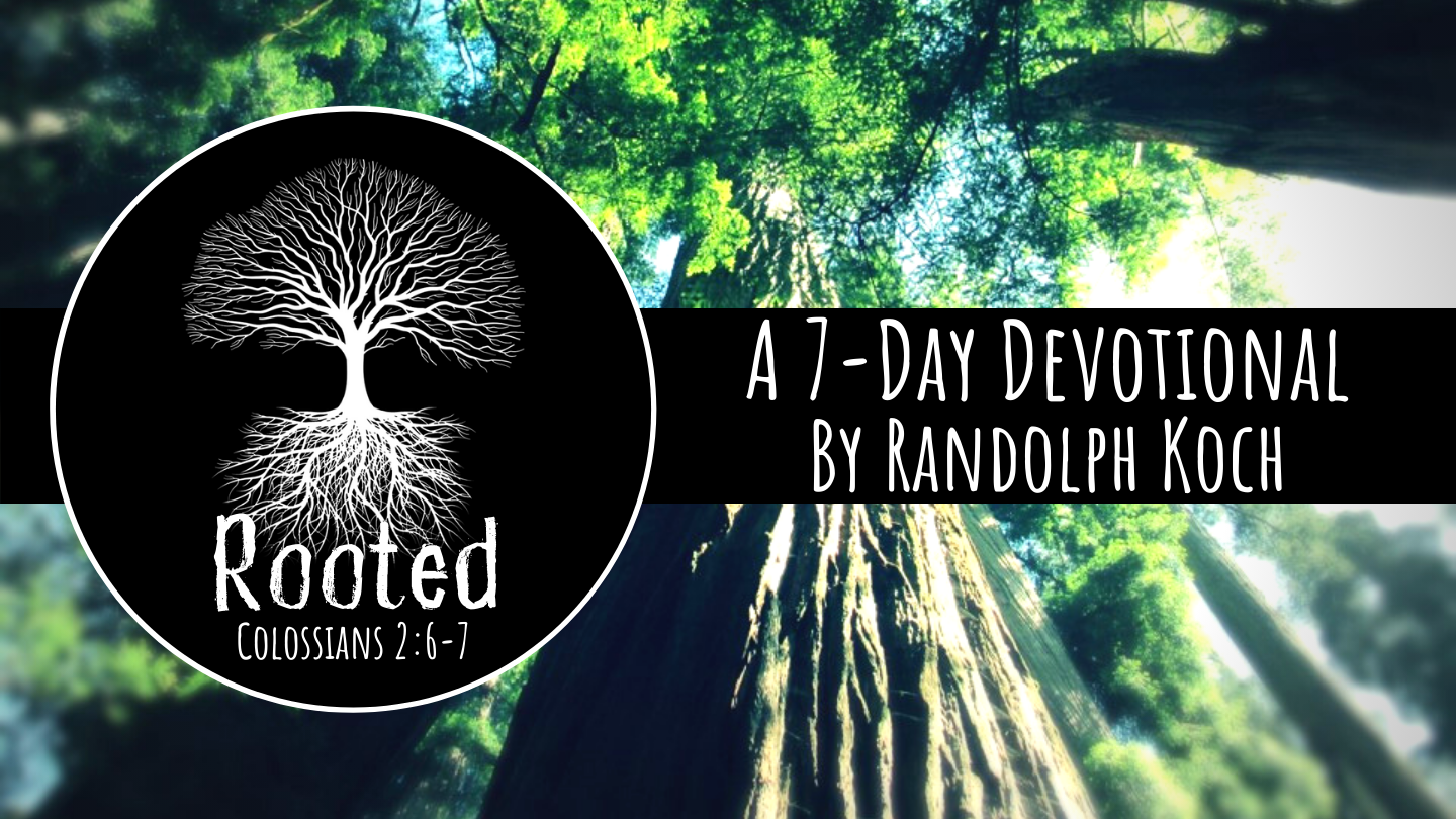 A Shepherd's Heart: My YouVersion Devotional Plan "Rooted" is now Live!