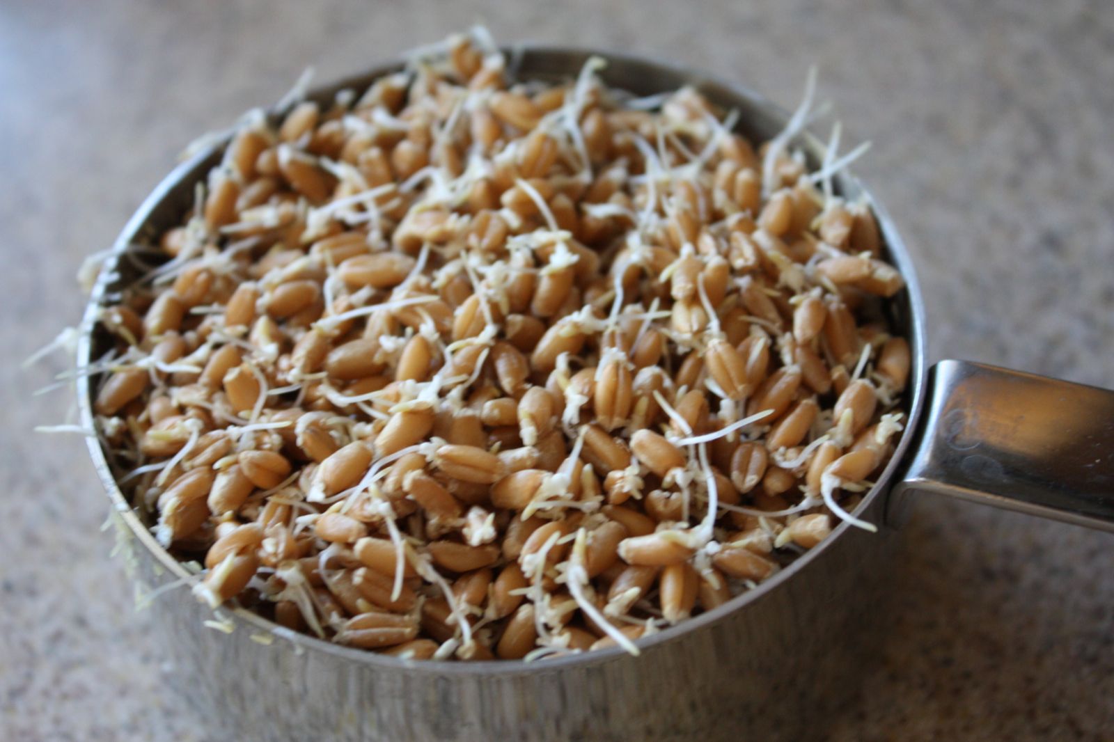 Libby's Latest: Emergency Preparedness Month- Wheat Berries