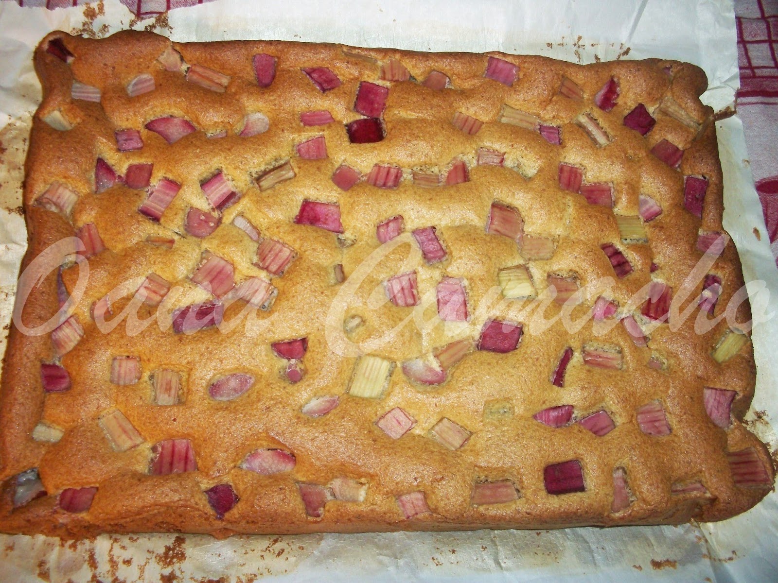 Cooking with love ! : PANDISPAN CU RUBARBA ( RHUBARB SPONGE CAKE )