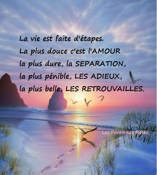 LES PANNEAUX ROSES : Citation sur les étapes de la vie.