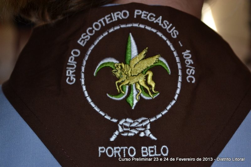Distrito Escoteiro Litoral - SC: SEMANA DA PÁTRIA GE PEGASUS