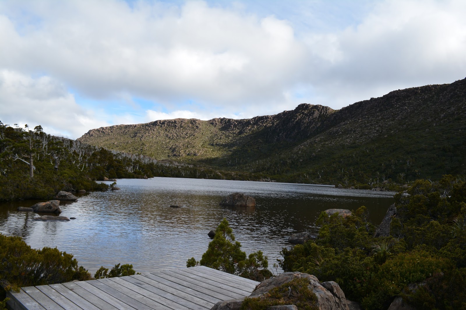 Tasmanian Wilderness: Tarn Shelf