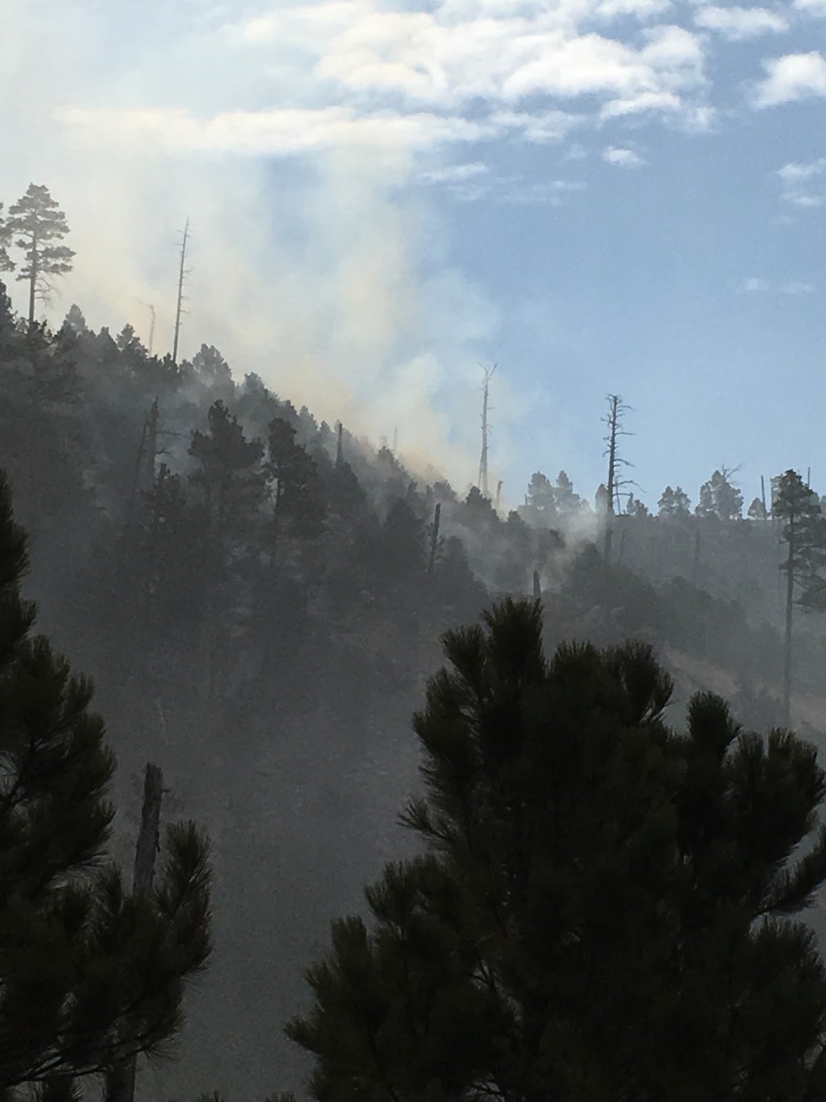 Great Plains Fire Information: Whitetail Fire