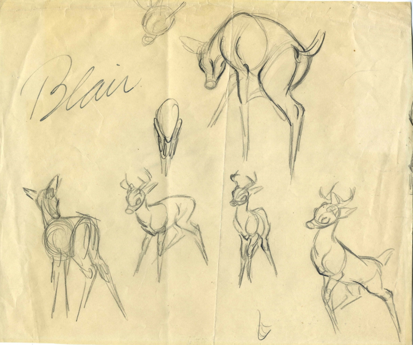 Deja View: A Few Beautiful Rough Animation Drawings