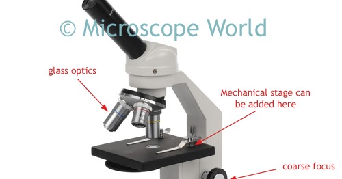 Microscope World Blog: Best Teaching Microscopes
