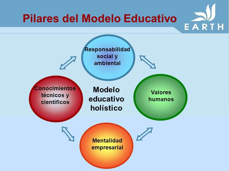 la innovación es el camino del líder holistico: EDUCACIÓN HOLÍSTICA