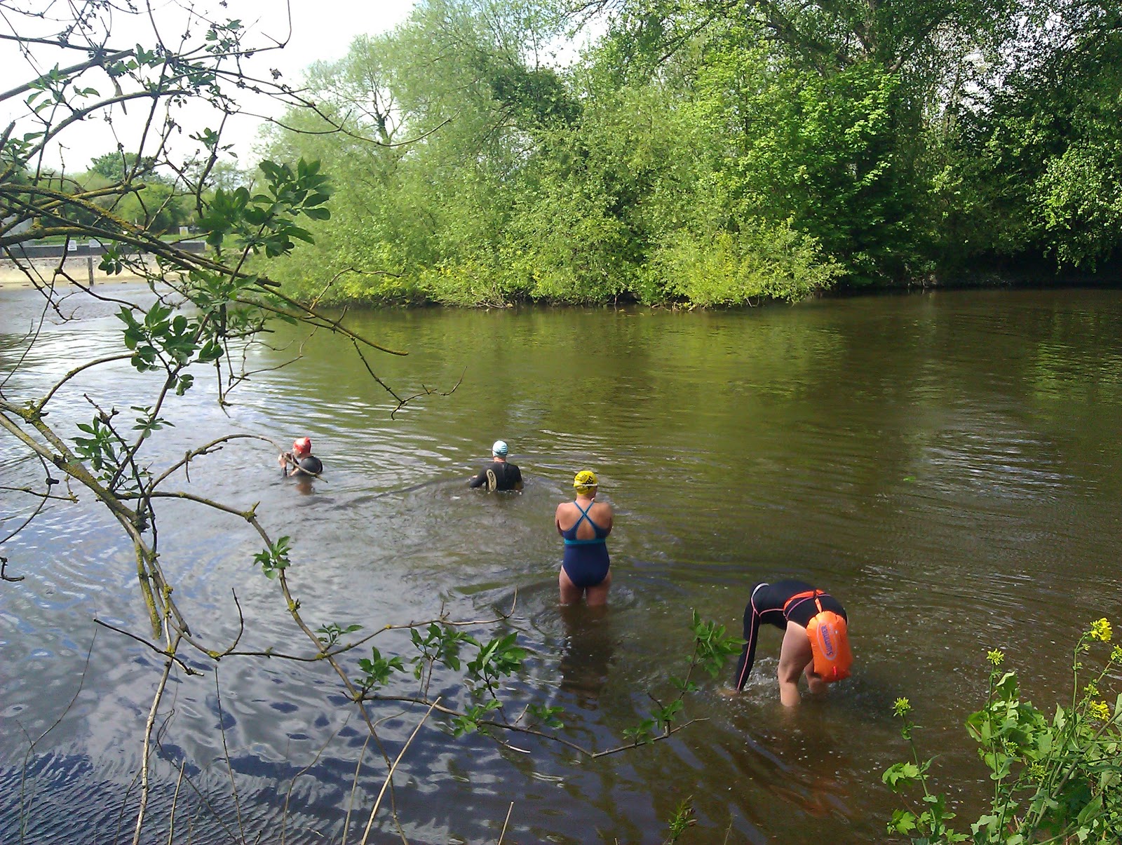 OSS Swim the Thames: Swim 46: Monkey Island to Boveney Lock