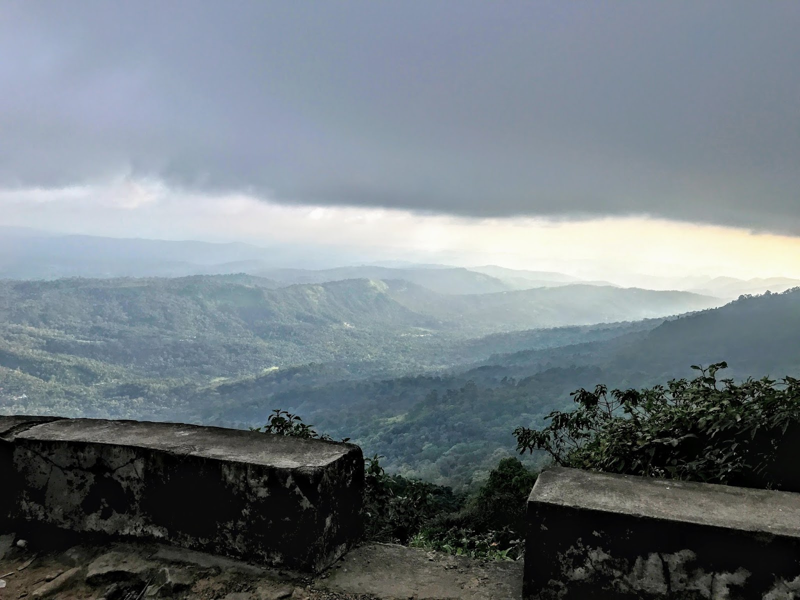 Road Trip to Munnar - Tea Gardens, Sightseeing, Dams, and Wildlife