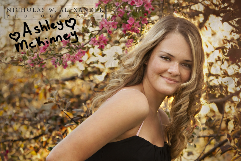 Nicholas W. Alexander Photographer Blog: Ashley