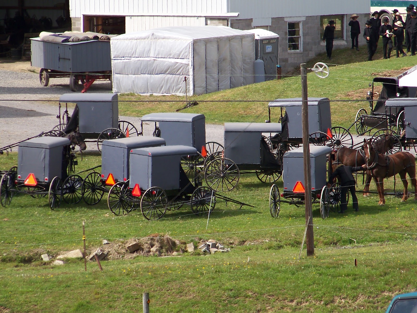 Landscape, Nature and Wildlife Photography done by Angie K. Johnson ...