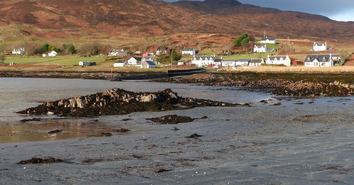 A Kilchoan Diary: Kilchoan Marshes