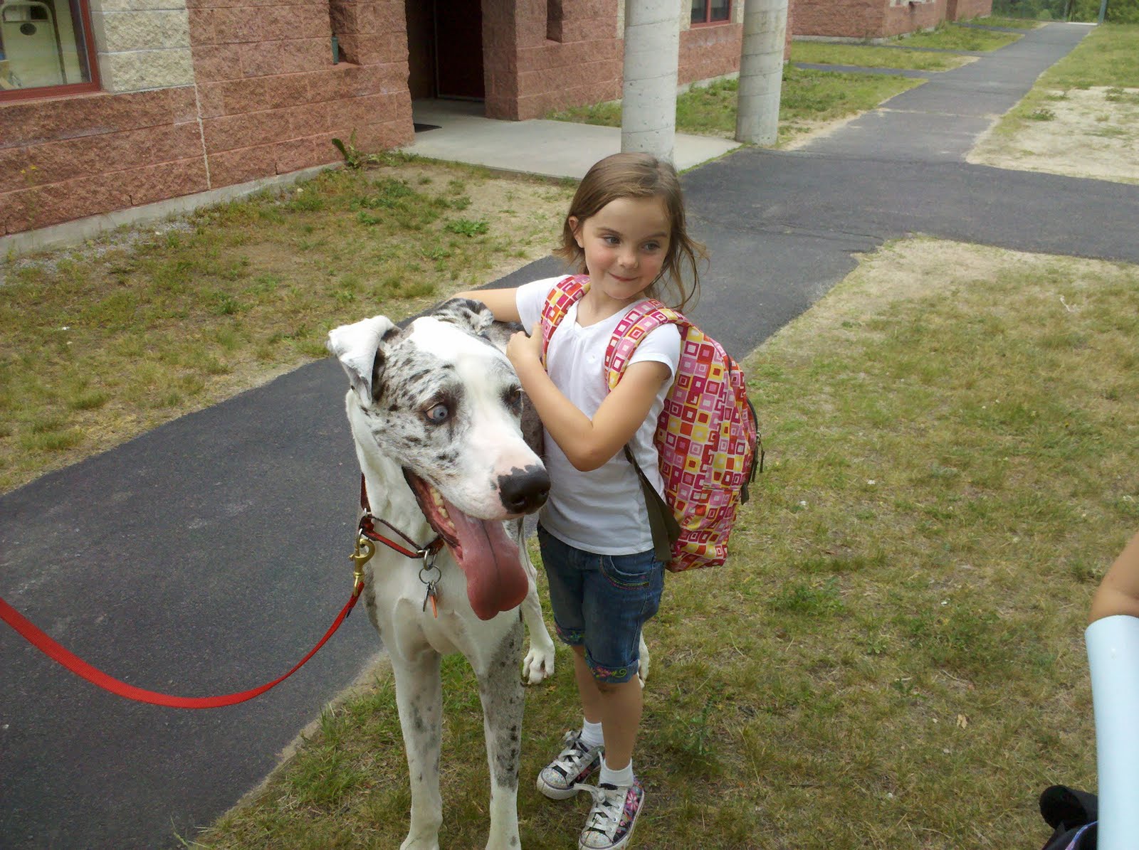 life with nature girl: Show and Tell